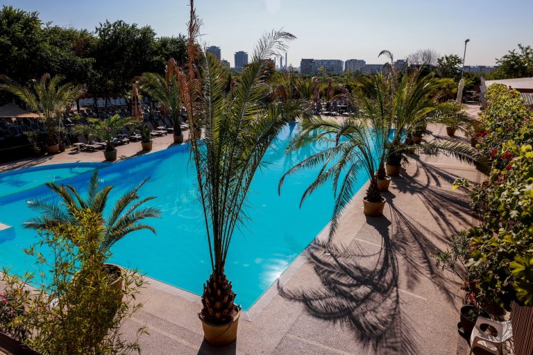 Club - Daimon Social Club – Insula verde din Bucuresti